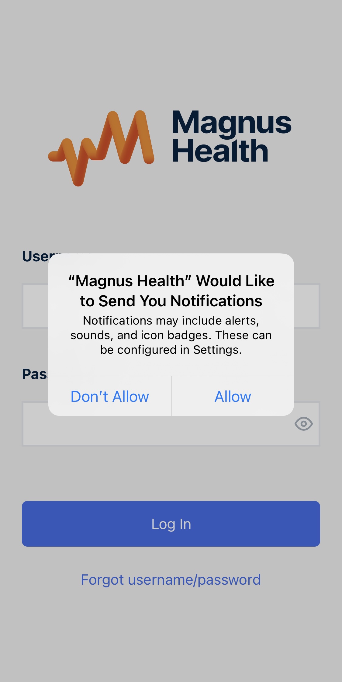 How do I turn on push notifications in the Magnus Health Mobile App?